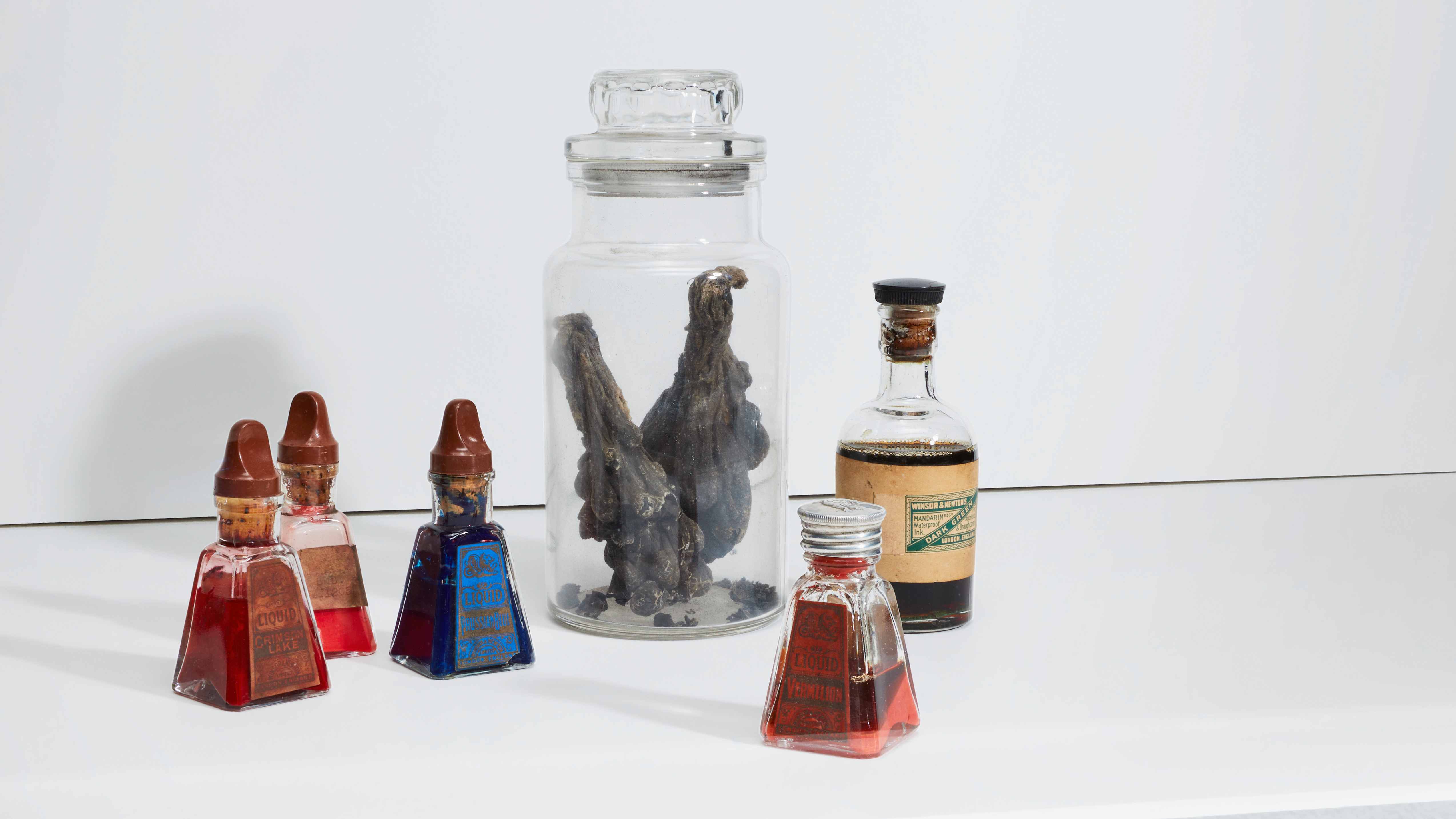 The inky sea creature preserved in a specimen jar – Winsor & Newton NA