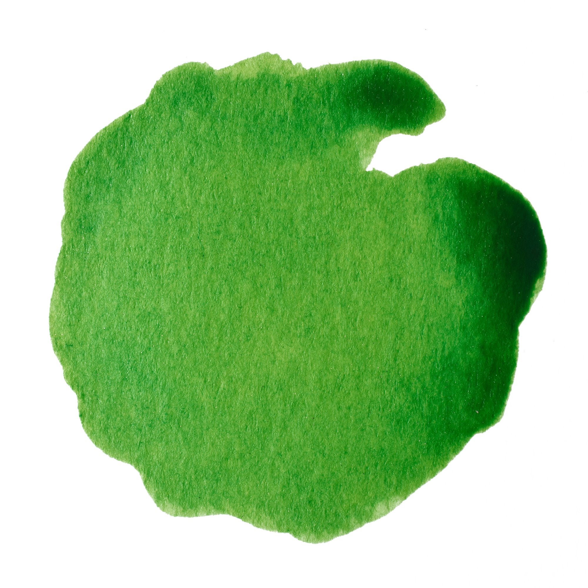 Drawing Ink - Apple Green – Winsor & Newton NA