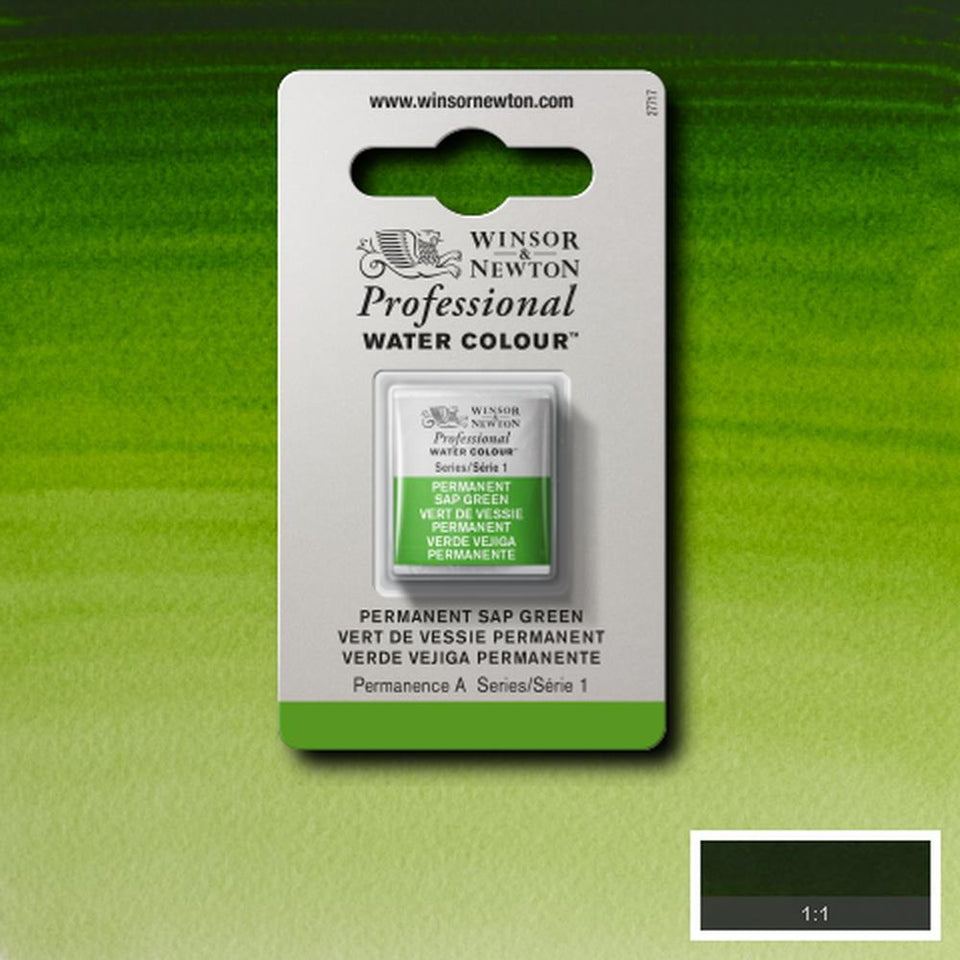 Professional Watercolour - Permanent Sap Green – Winsor & Newton NA