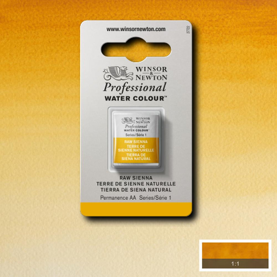 Professional Watercolour - Raw Sienna – Winsor & Newton NA