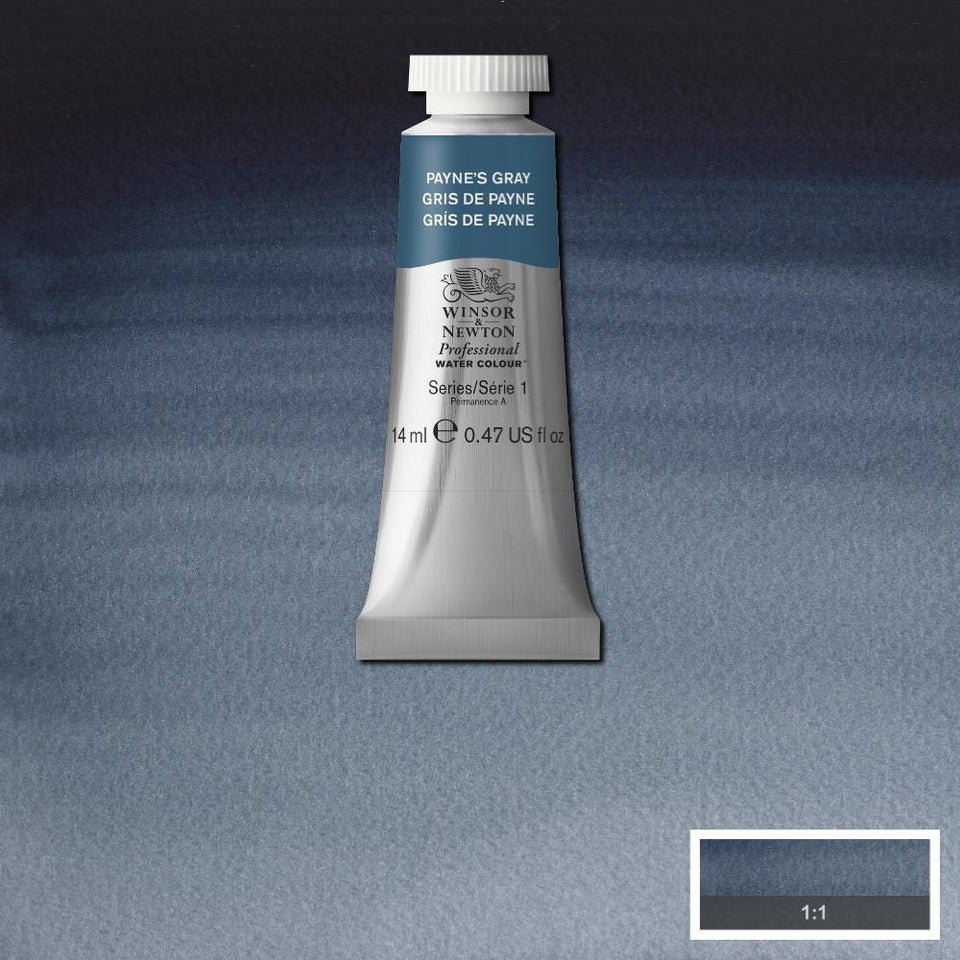 Professional Watercolour - Payne's Gray – Winsor & Newton NA