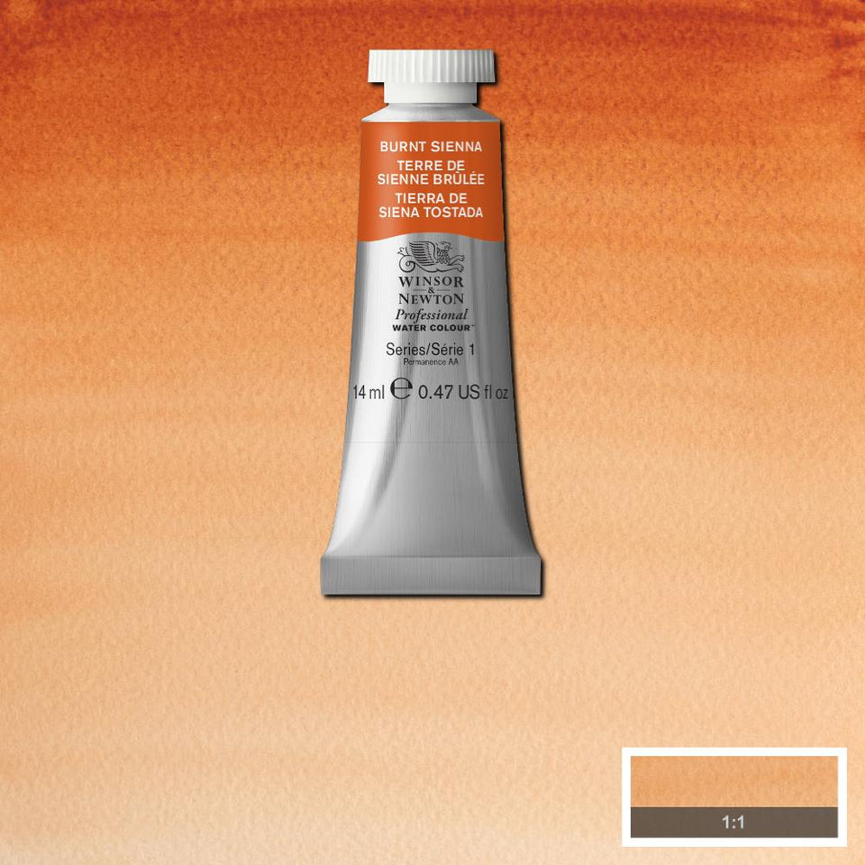 Professional Watercolour - Burnt Sienna – Winsor & Newton NA