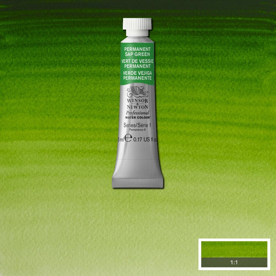 Professional Watercolour - Permanent Sap Green – Winsor & Newton NA