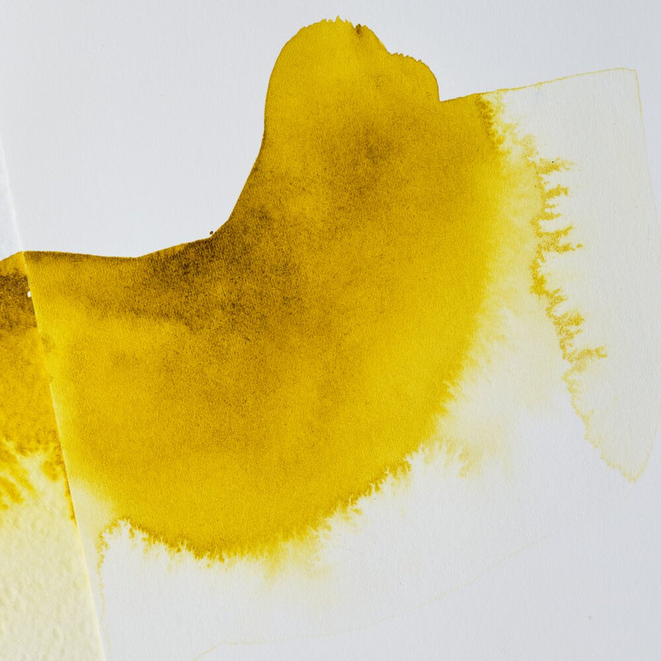 Ox Gall Liquid – Winsor & Newton NA