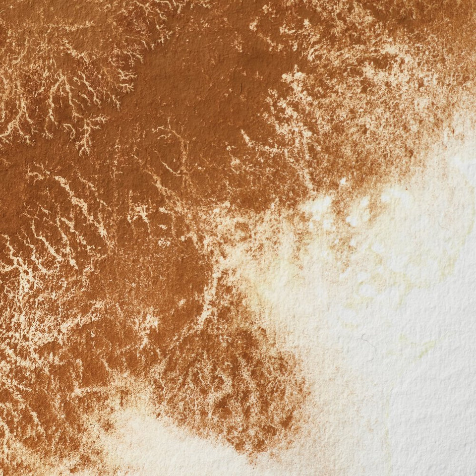 Professional Watercolour - Magnesium Brown – Winsor & Newton NA