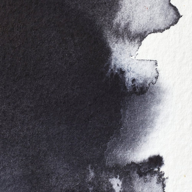 Professional Watercolour - Neutral Tint – Winsor & Newton NA