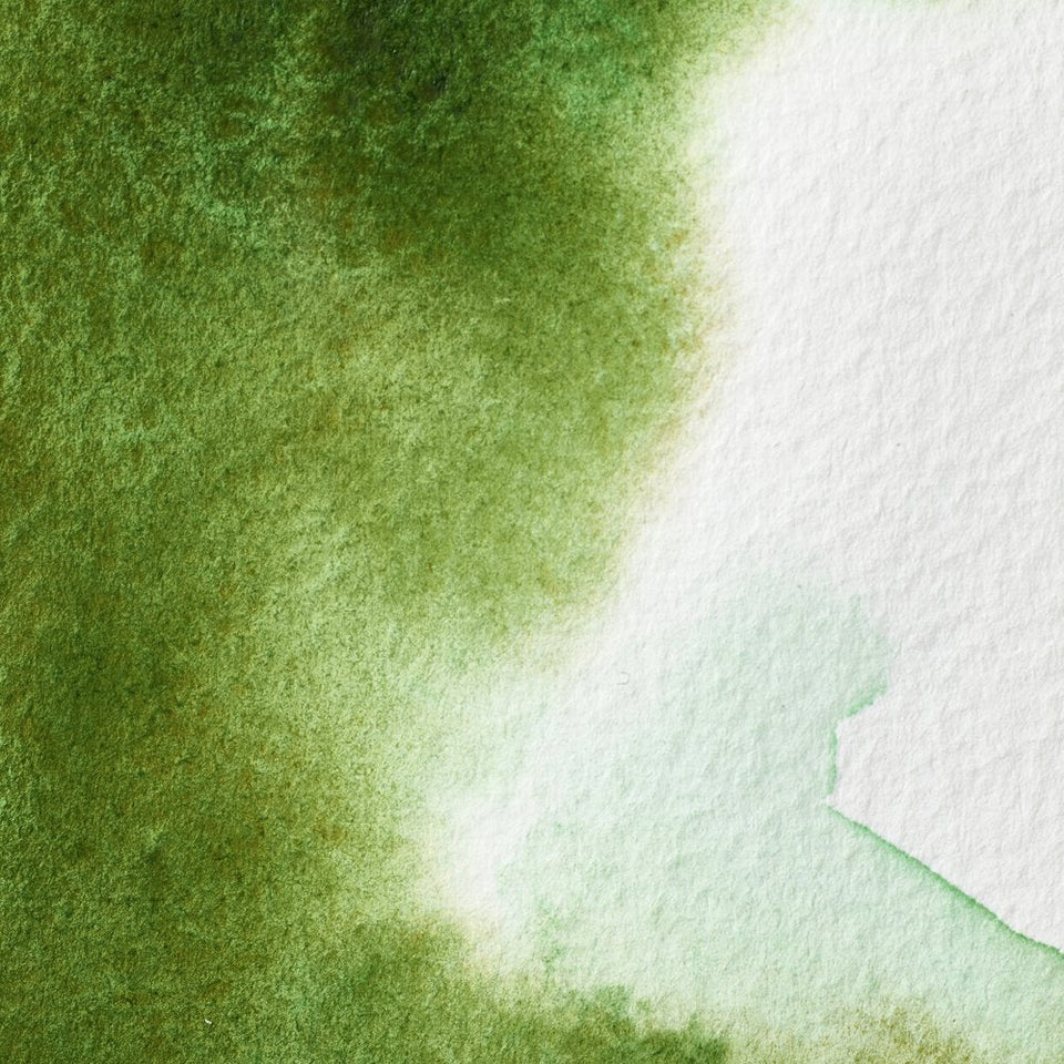 Professional Watercolour - Permanent Sap Green – Winsor & Newton NA