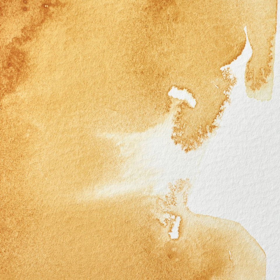 Professional Watercolour - Raw Sienna – Winsor & Newton NA
