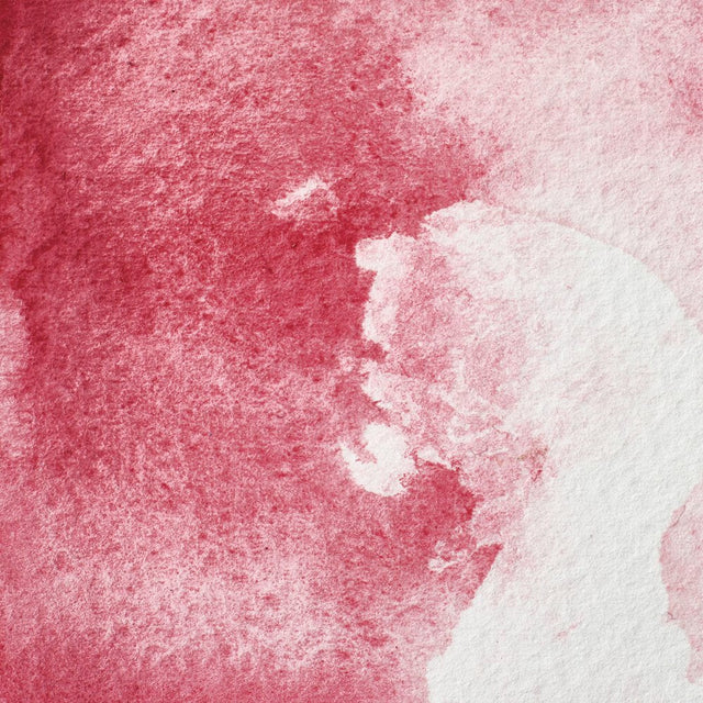Professional Watercolour - Rose Madder Genuine – Winsor & Newton NA