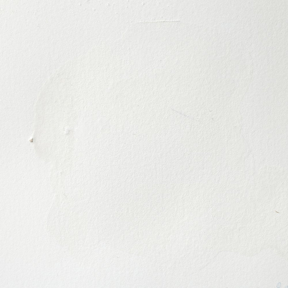Professional Watercolour - Titanium White (Opaque White) – Winsor ...