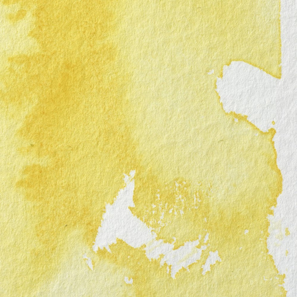 Professional Watercolour - Transparent Yellow – Winsor & Newton NA