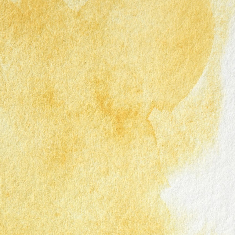 Professional Watercolour – Winsor & Newton NA