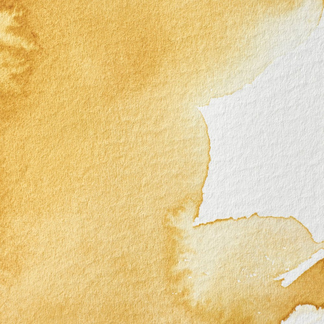 Professional Watercolour - Yellow Ochre Light – Winsor & Newton NA
