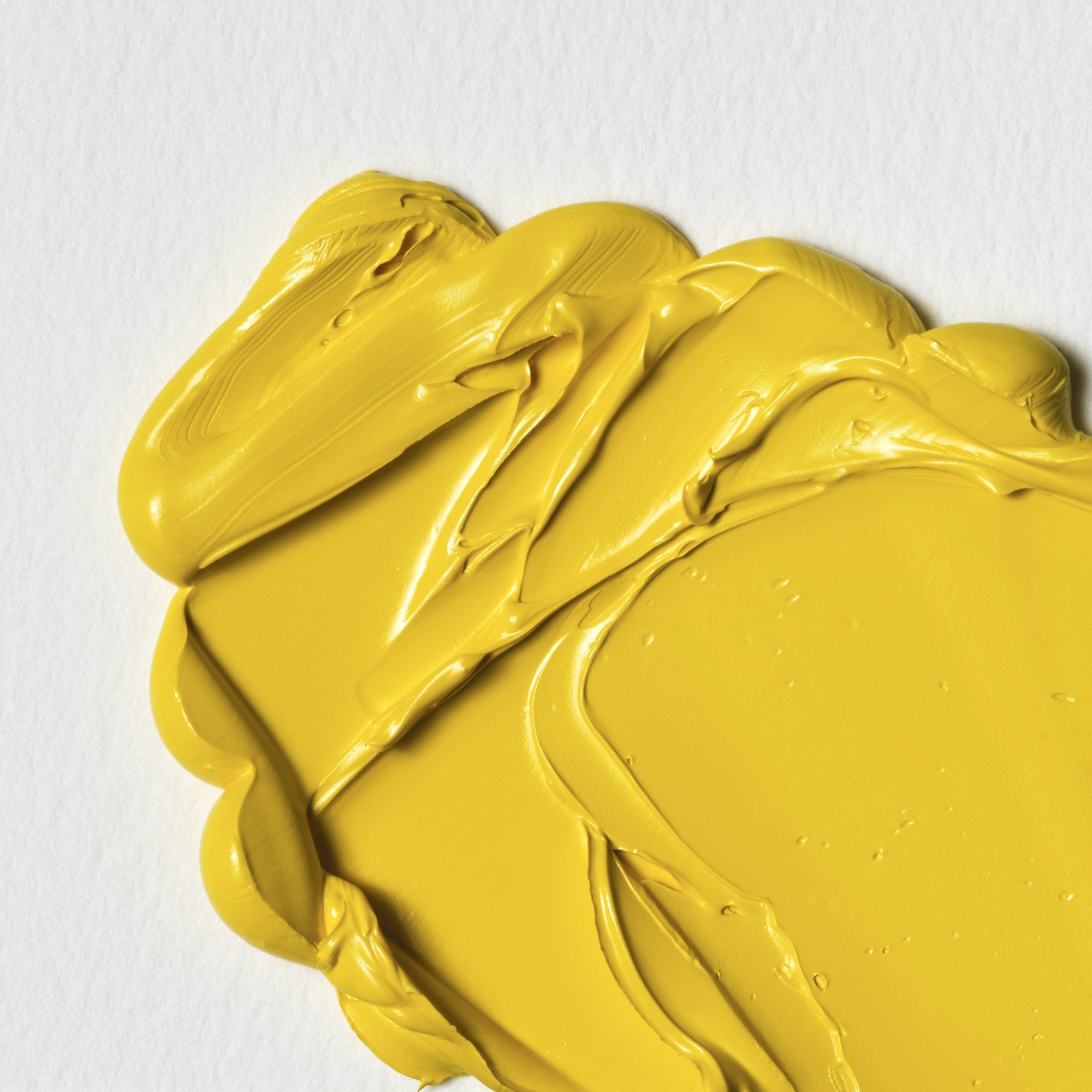 Winton Oil Colour - Cadmium Yellow Light – Winsor & Newton NA