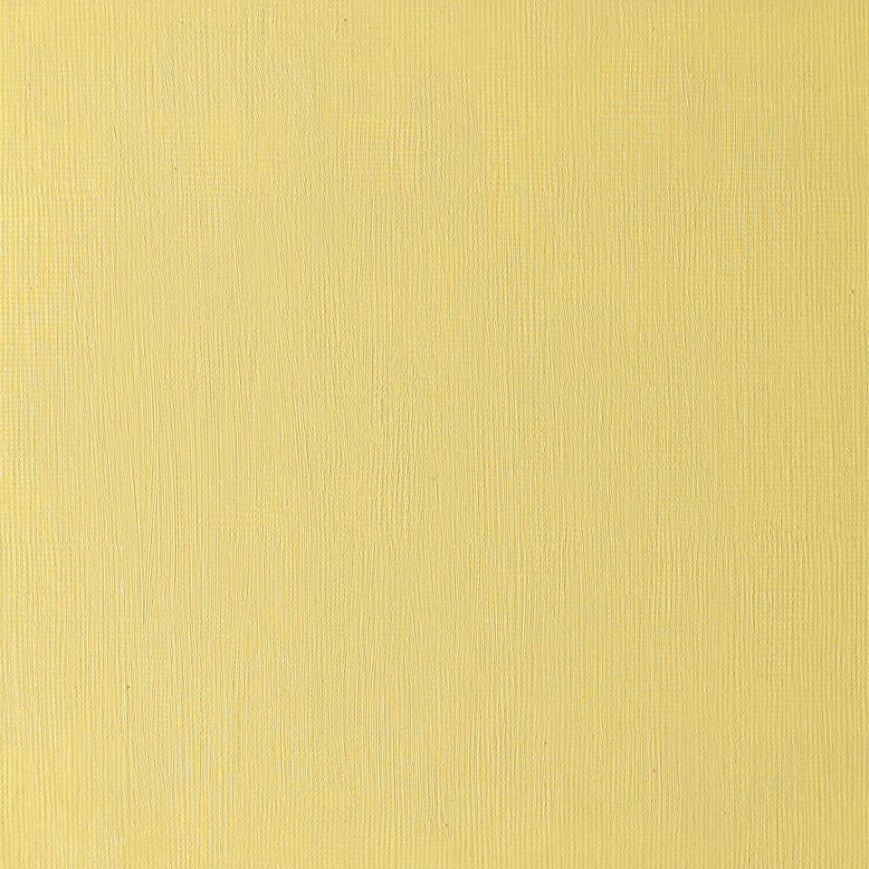 Artists' Oil Colour - Indian Yellow Deep – Winsor & Newton NA