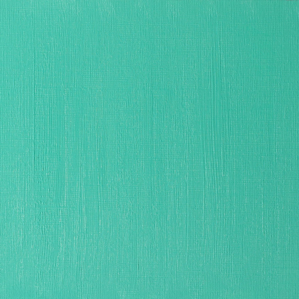 Artists' Oil Colour - Permanent Green Deep – Winsor & Newton NA