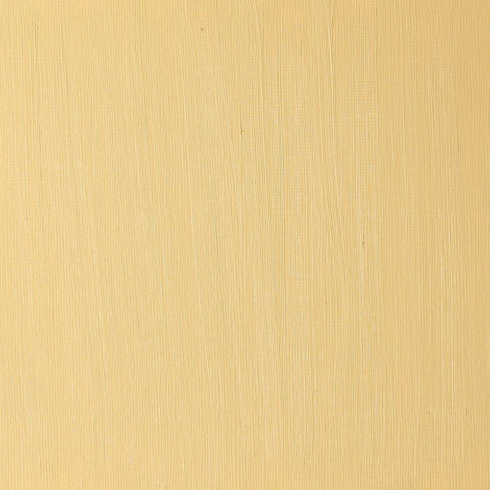 Winton Oil Colour - Yellow Ochre – Winsor & Newton NA