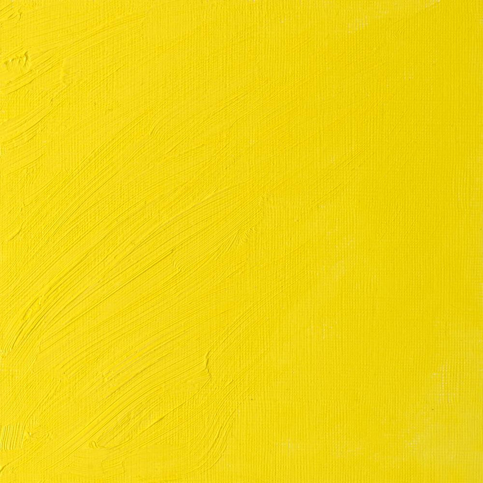 Artists' Oil Colour - Bismuth Yellow – Winsor & Newton NA