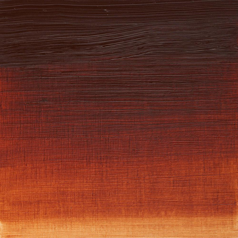 Artists' Oil Colour - Burnt Sienna – Winsor & Newton NA