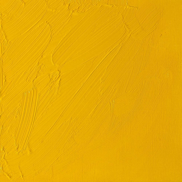 Artists' Oil Colour - Cadmium Yellow Pale – Winsor & Newton NA