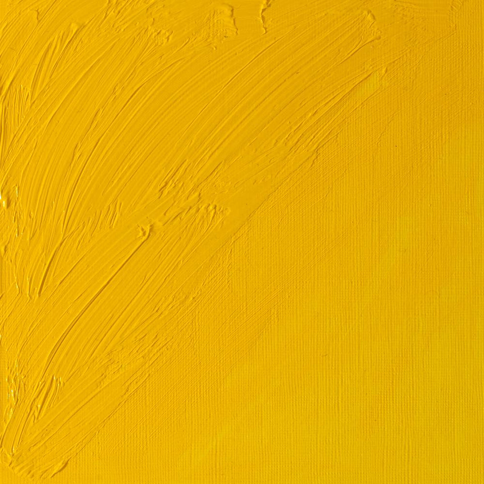 Artists' Oil Colour - Chrome Yellow Hue – Winsor & Newton NA