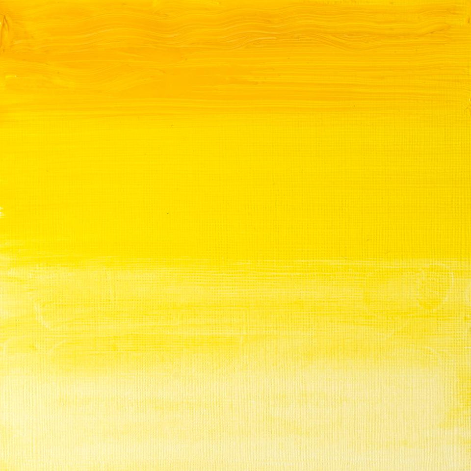 Artists' Oil Colour - Transparent Yellow – Winsor & Newton NA