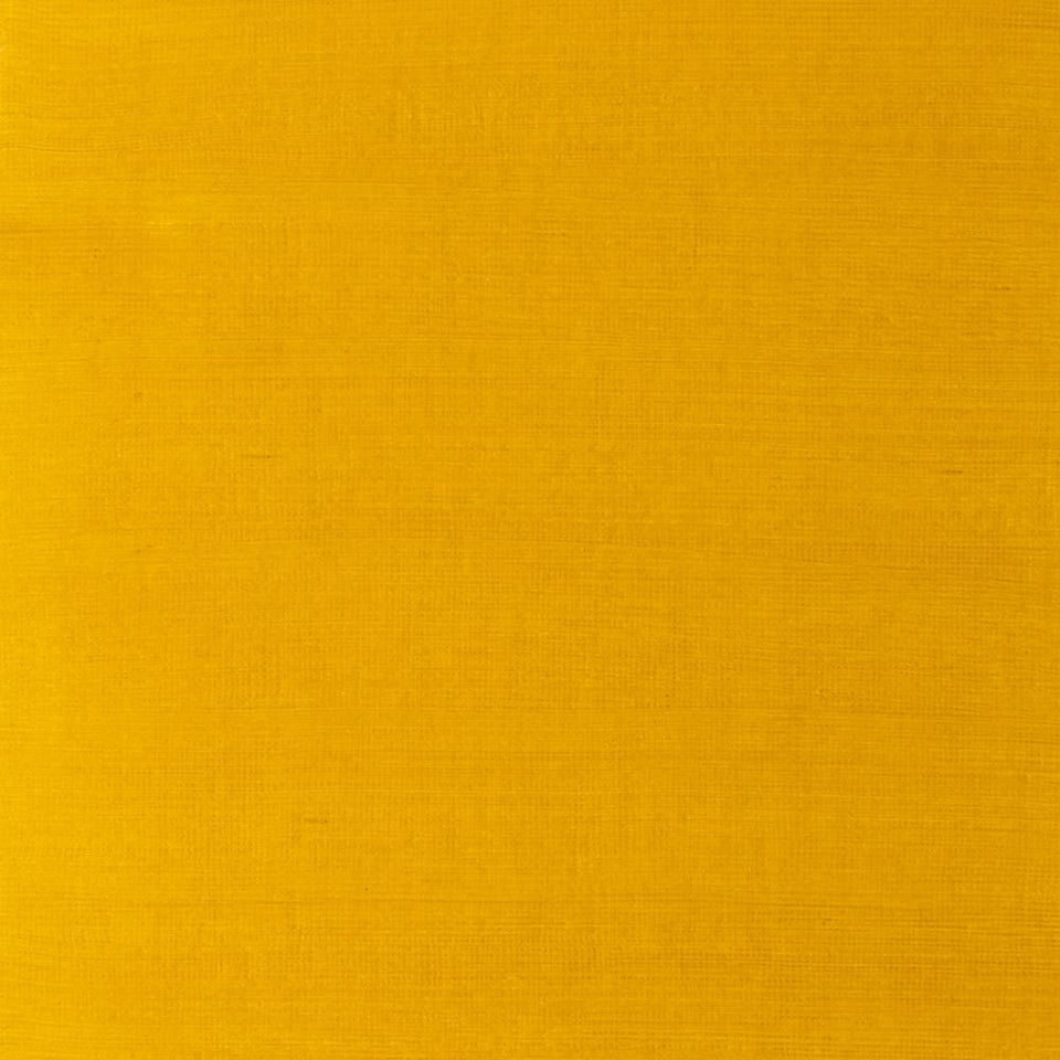 Artists' Oil Colour - Yellow Ochre Light – Winsor & Newton NA