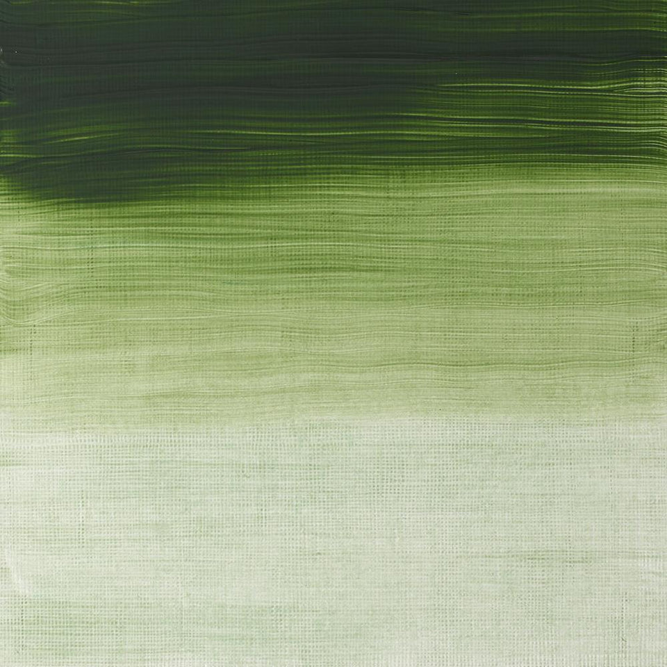 Griffin Alkyd Fast Drying Oil Colour - Terre Verte – Winsor & Newton NA