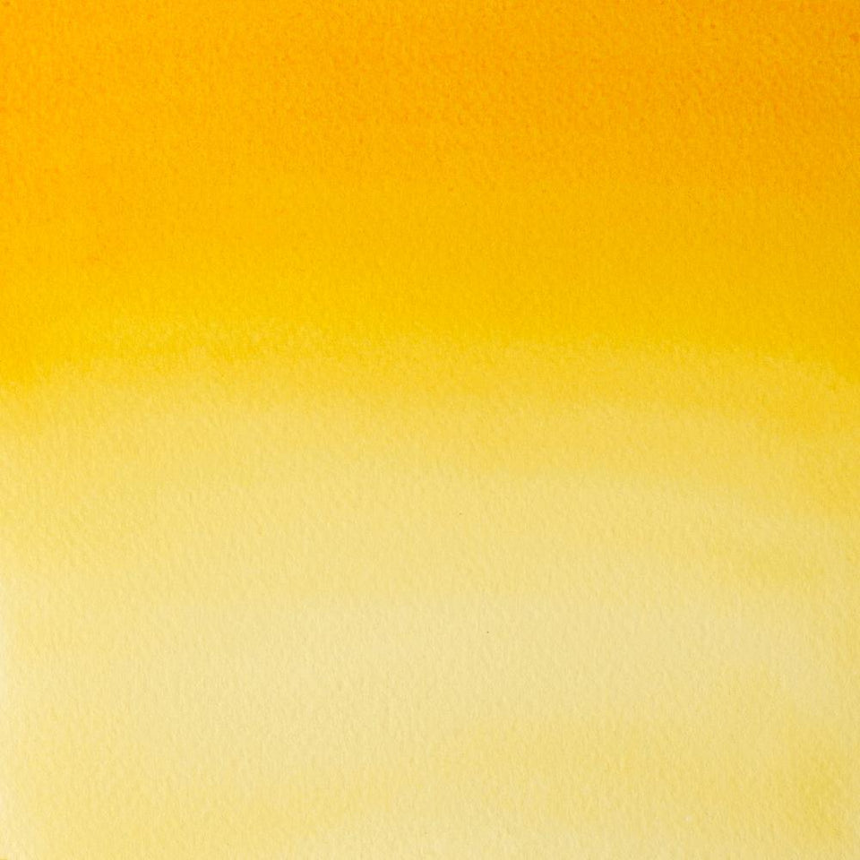 Professional Watercolour - Indian Yellow – Winsor & Newton NA