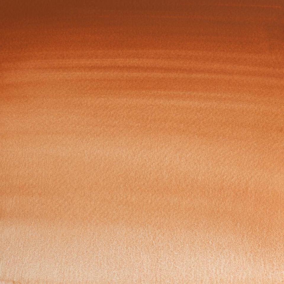 Professional Watercolour - Magnesium Brown – Winsor & Newton NA