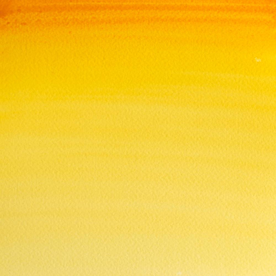 Professional Watercolour - New Gamboge – Winsor & Newton NA