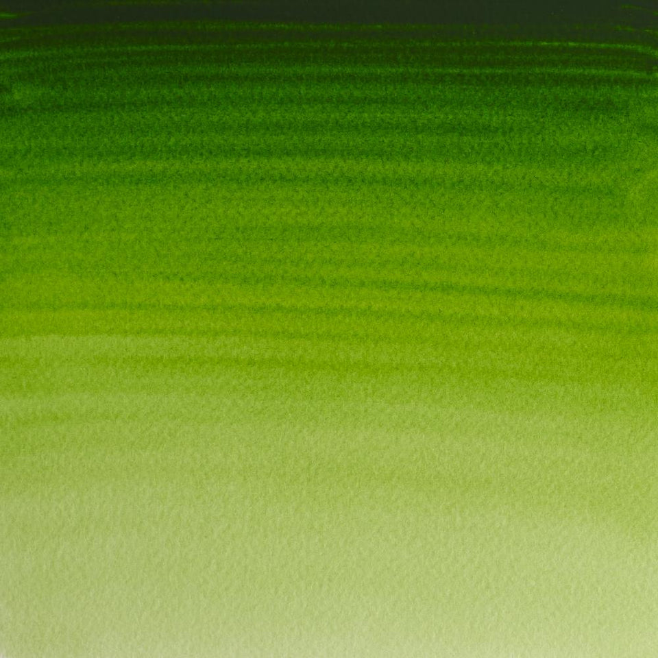 Professional Watercolour - Permanent Sap Green – Winsor & Newton NA