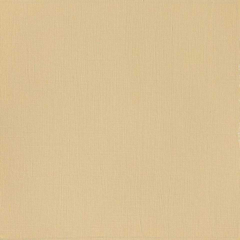 Professional Acrylic - Yellow Iron Oxide – Winsor & Newton NA