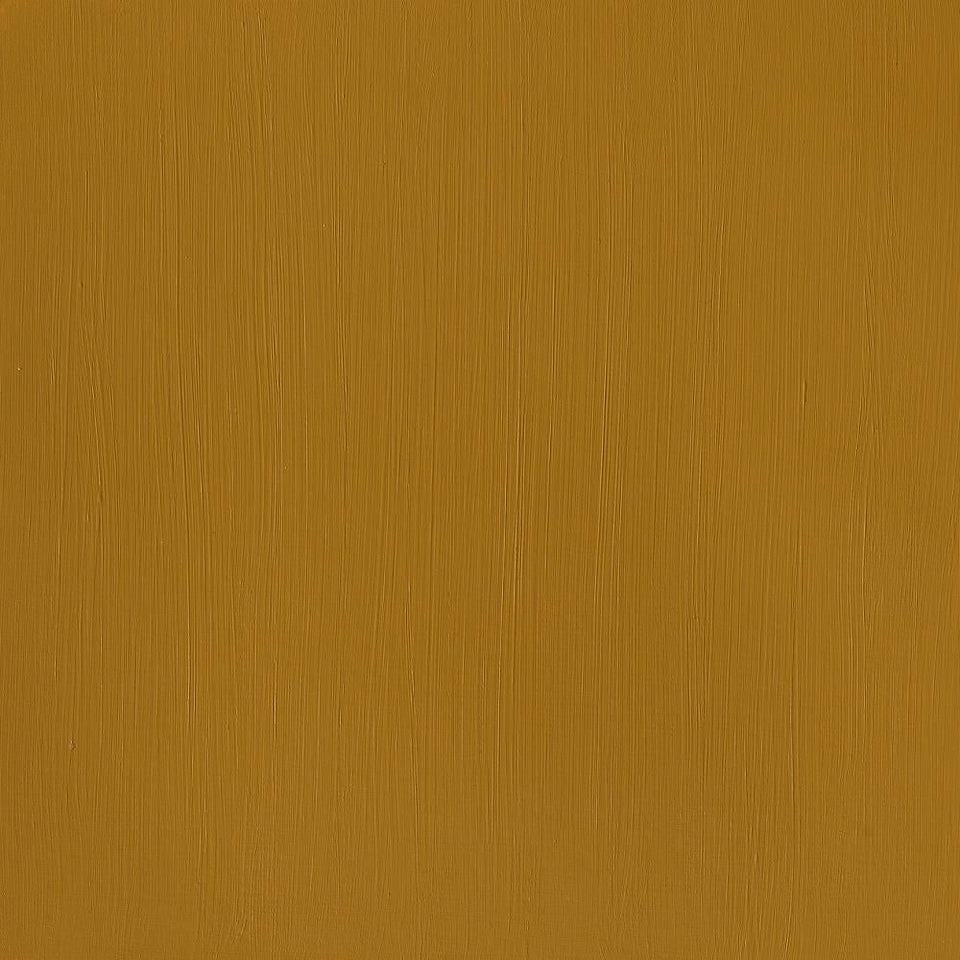 Professional Acrylic - Yellow Iron Oxide – Winsor & Newton NA