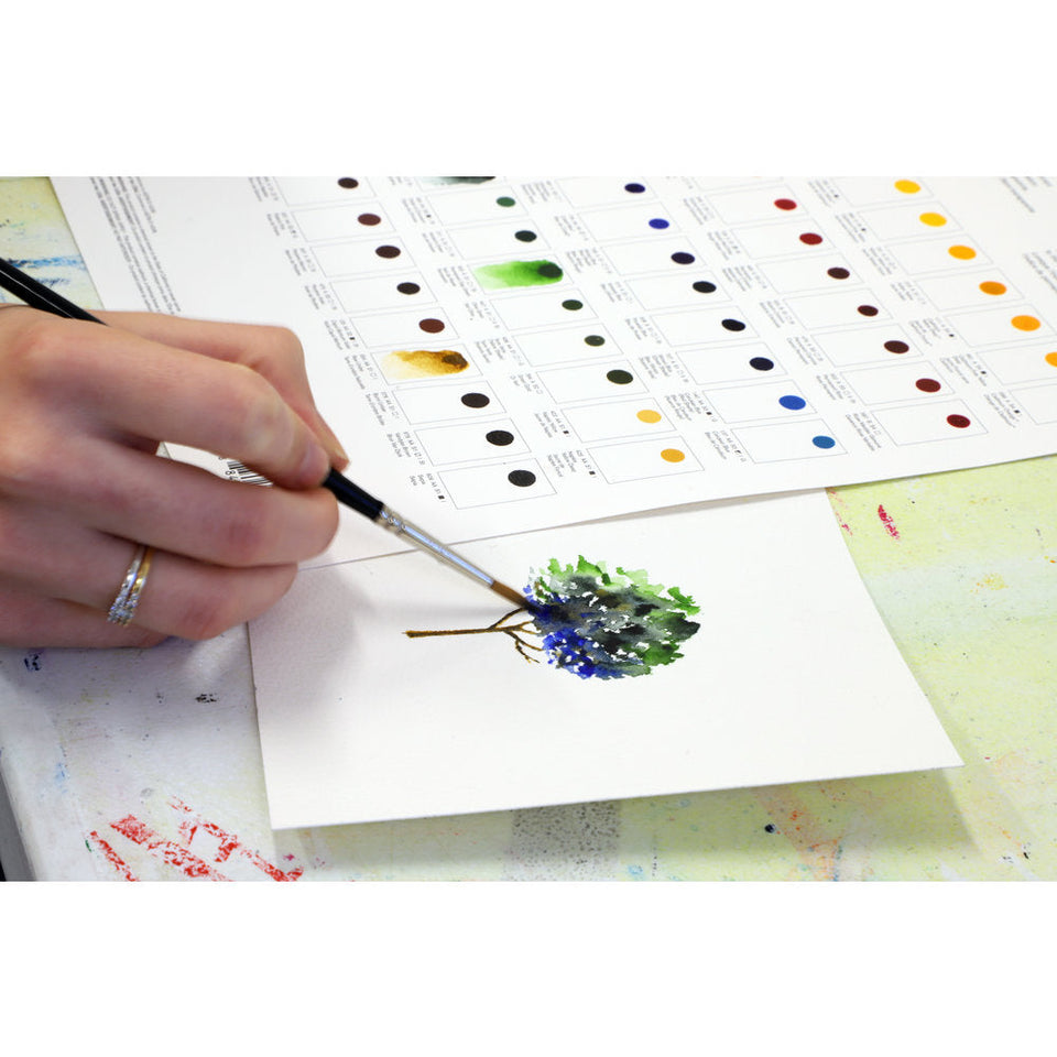 Professional Watercolour Dot Card Colour Chart – Winsor & Newton NA